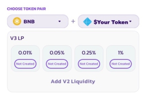 Listing on PancakeSwap - how to set up a pool and add liquidity - Empirica