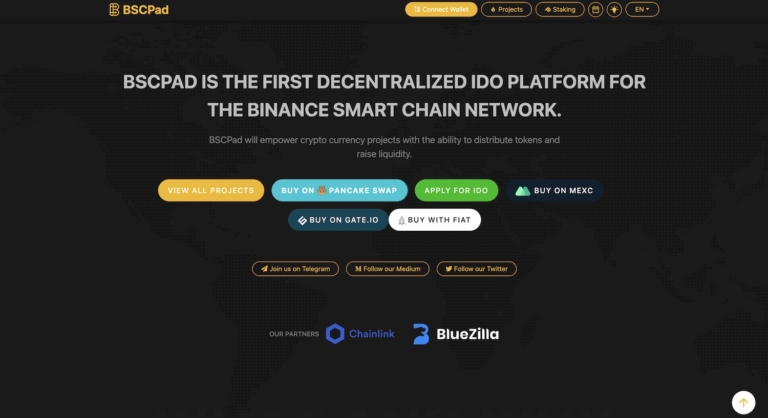 Top 10 Best Crypto Launchpads for Token Projects in 2025 - Empirica